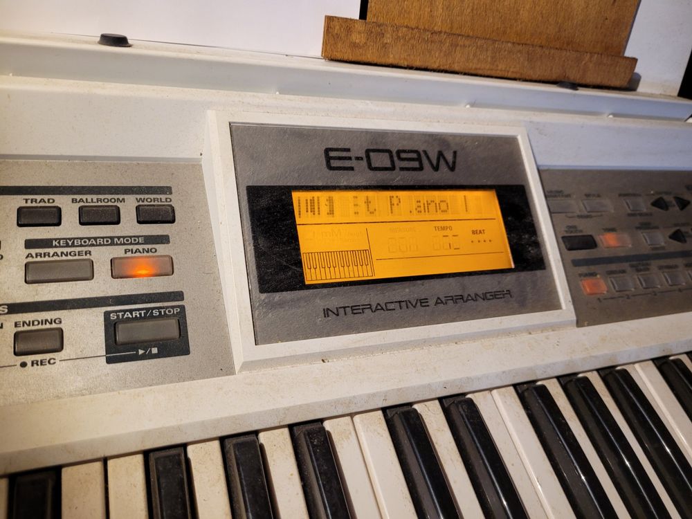 Roland E-09W Interactive Arranger Keyboard (Gebraucht) in Othmarsingen für CHF 100 – nur ...