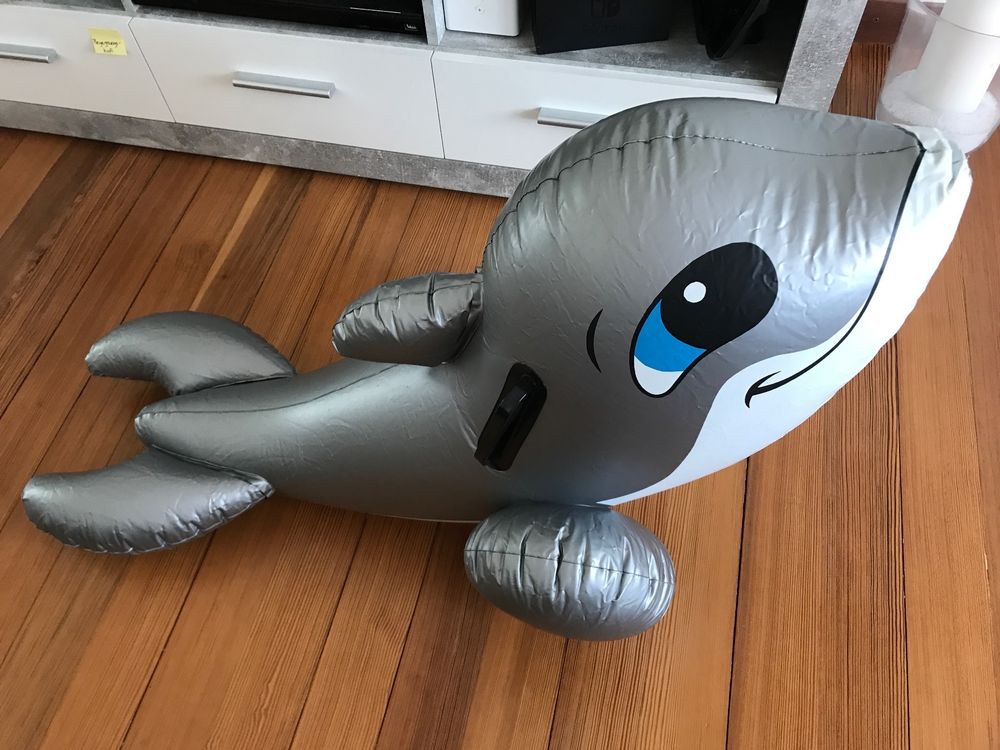 Pool Delfin (Gebraucht) in Goldach für CHF 3 – mit Lieferung auf ...