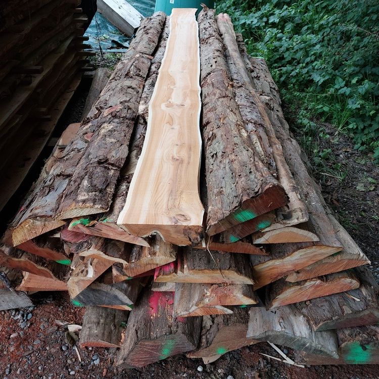 Eibenholz Abschnitte ca. 0,8-1m3 Holz +/- (Neu (gemäss Beschreibung ...
