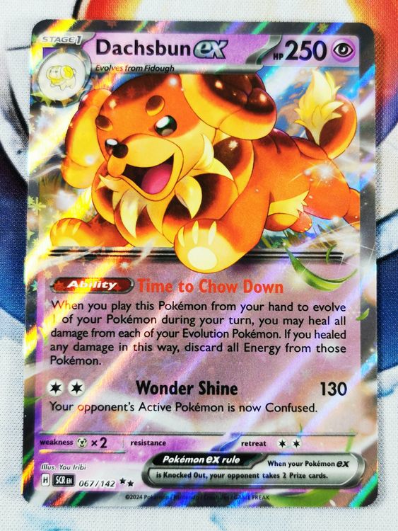 Pokemon Dachsbun ex 067/142 Stellar Crown EN | Kaufen auf Ricardo