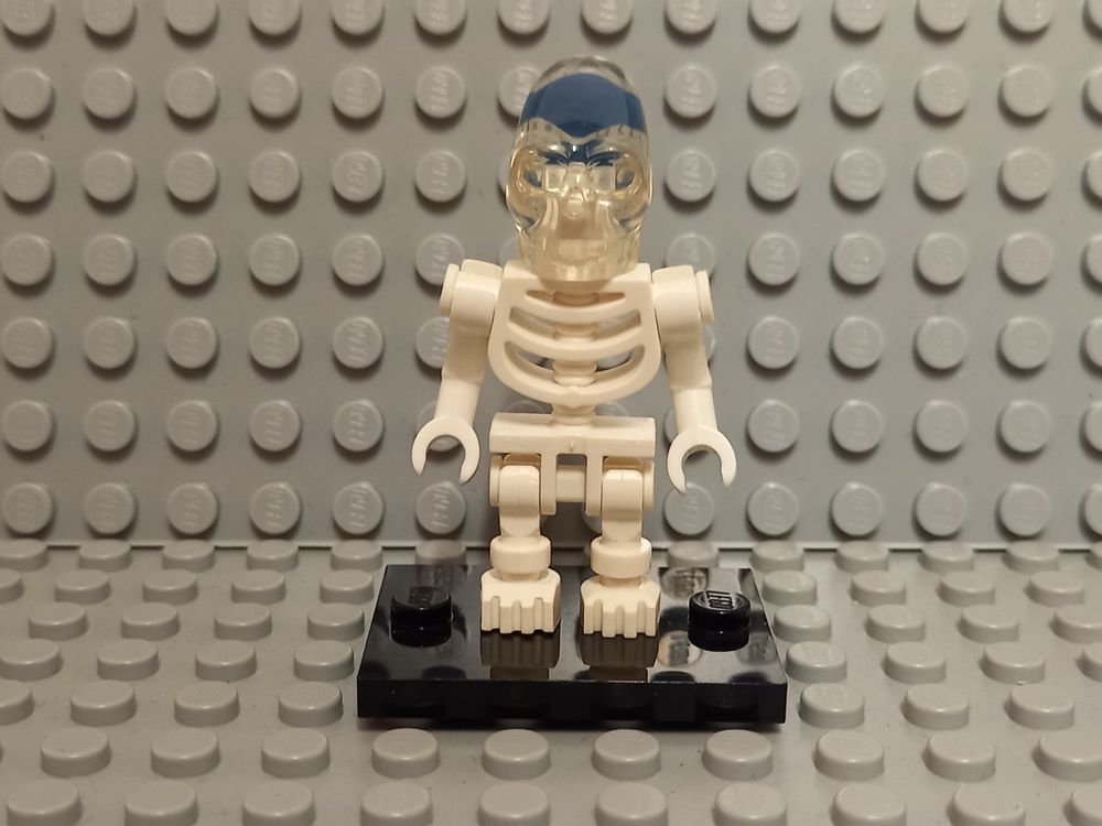 Lego Minifigur Indiana Jones Akator Skeleton iaj011 (Gebraucht) in ...