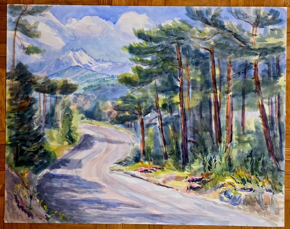 Aquarell Clara Vogelsan Eymann (50 x 39) 40 % seines Wertes (Gebraucht ...