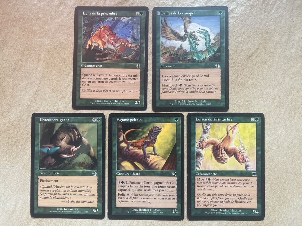 MtG Magic The Gathering 5 cartes françaises (Gebraucht) in Vernayaz für ...