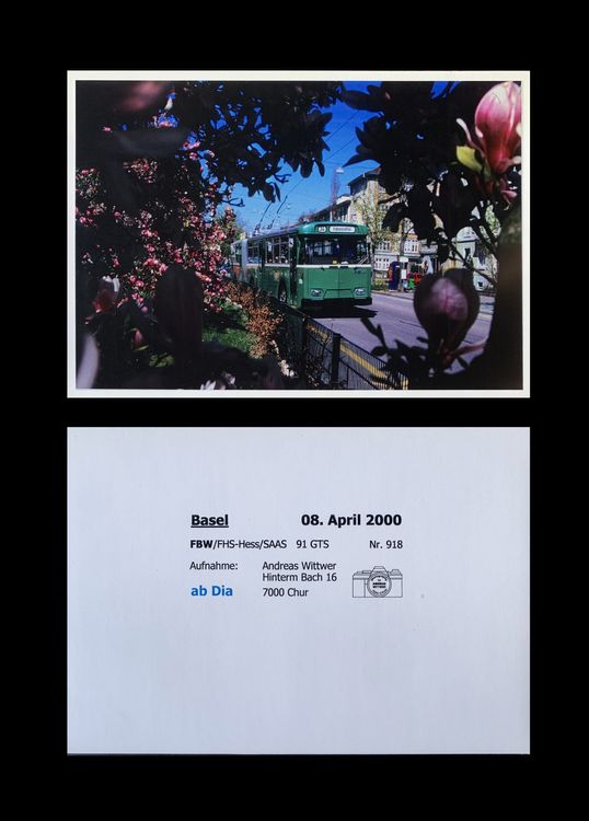 Basel Peter Rot Strasse BVB Trolleybus FBW 91GTS Foto Druck (Neu ...