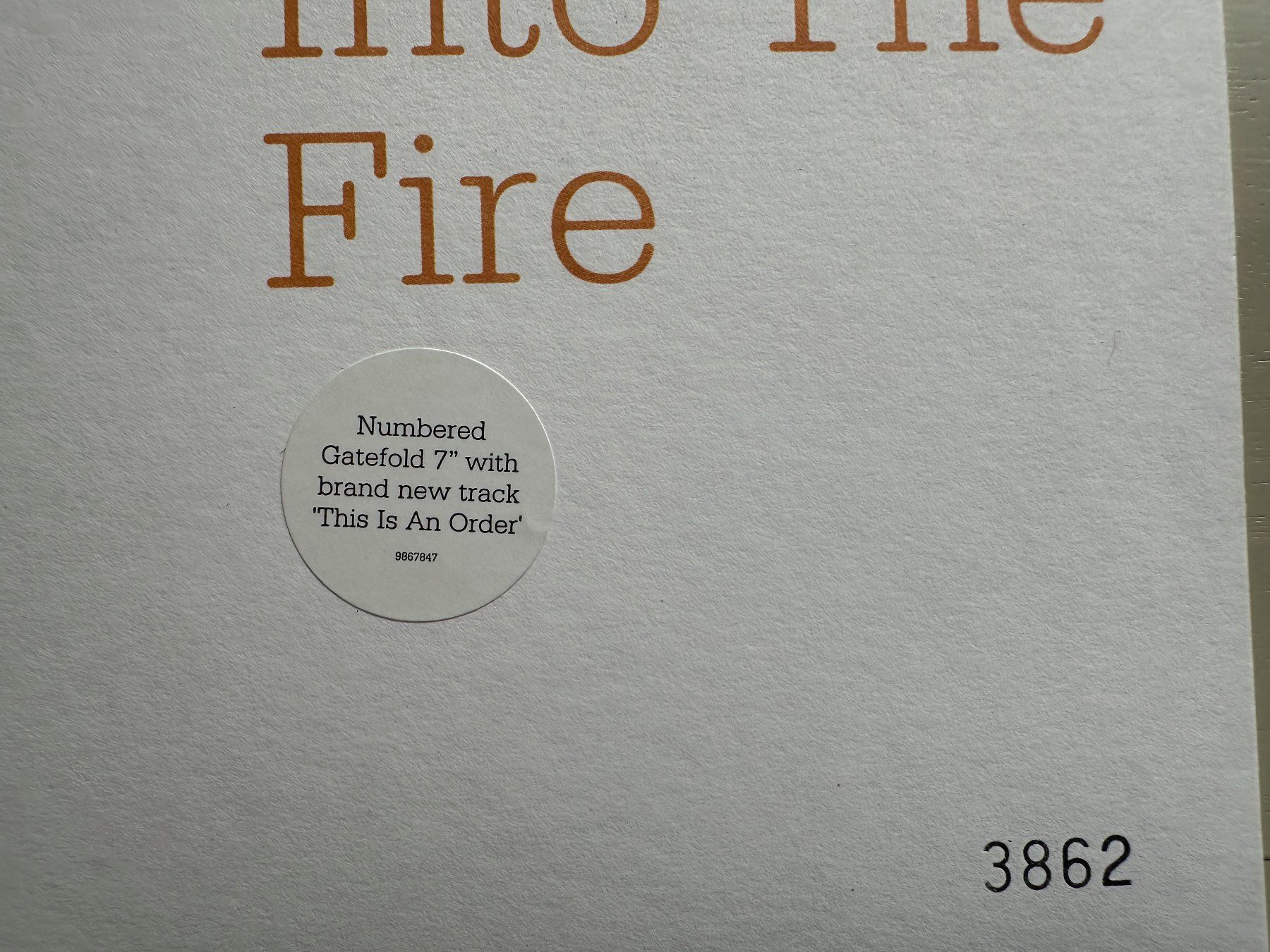 THIRTEEN SENSES rare Single Into the fire LE Indie neu Kult (Gebraucht ...