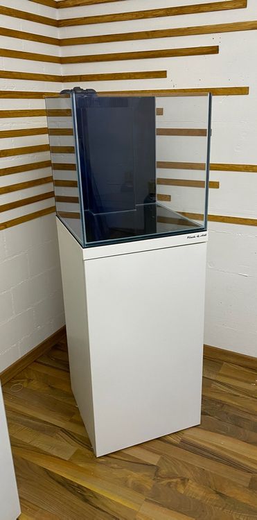 Meerwasser Aquarium 45x45x45 (Neu (gemäss Beschreibung)) in Berikon für CHF 400 – nur Abholung ...