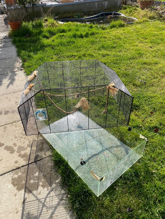 Geräumiges Terrarium (LBH: 75x45x19cm) | Kaufen auf Ricardo