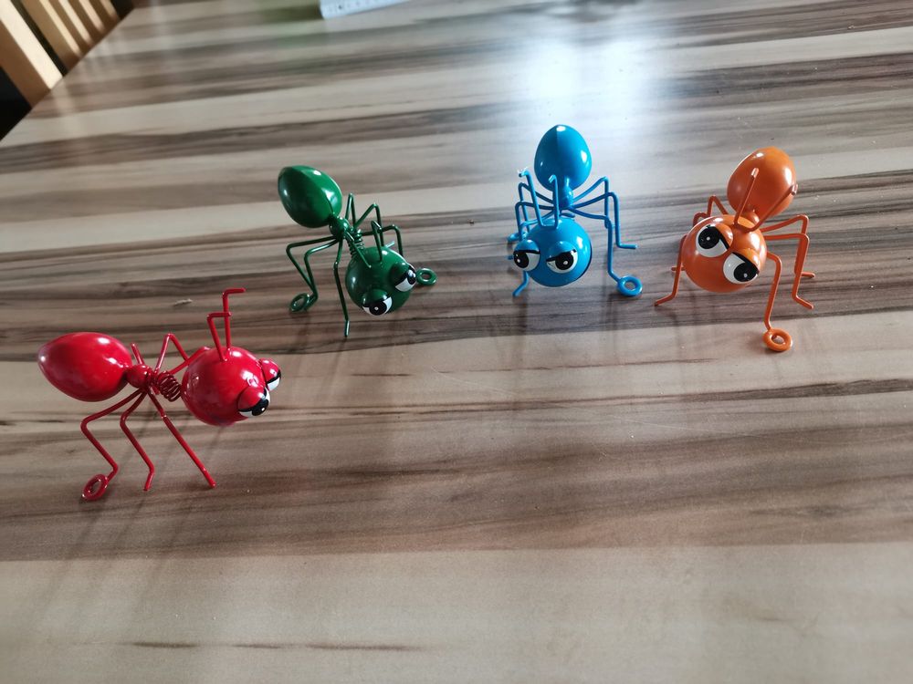 Ameisen Kunst Lustig Exklusiv (Neu und originalverpackt) in Aarwangen für CHF 15 – mit Lieferung ...