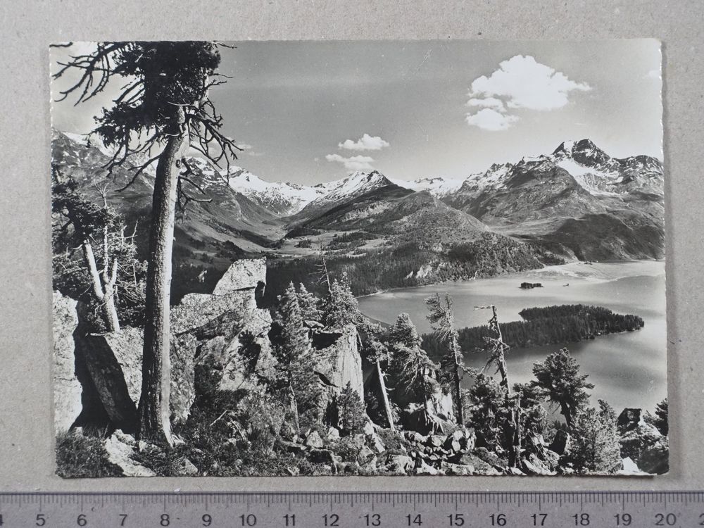 Silsersee, Sils, Fextal, Isola und Piz della margna, 1953 | Kaufen auf ...