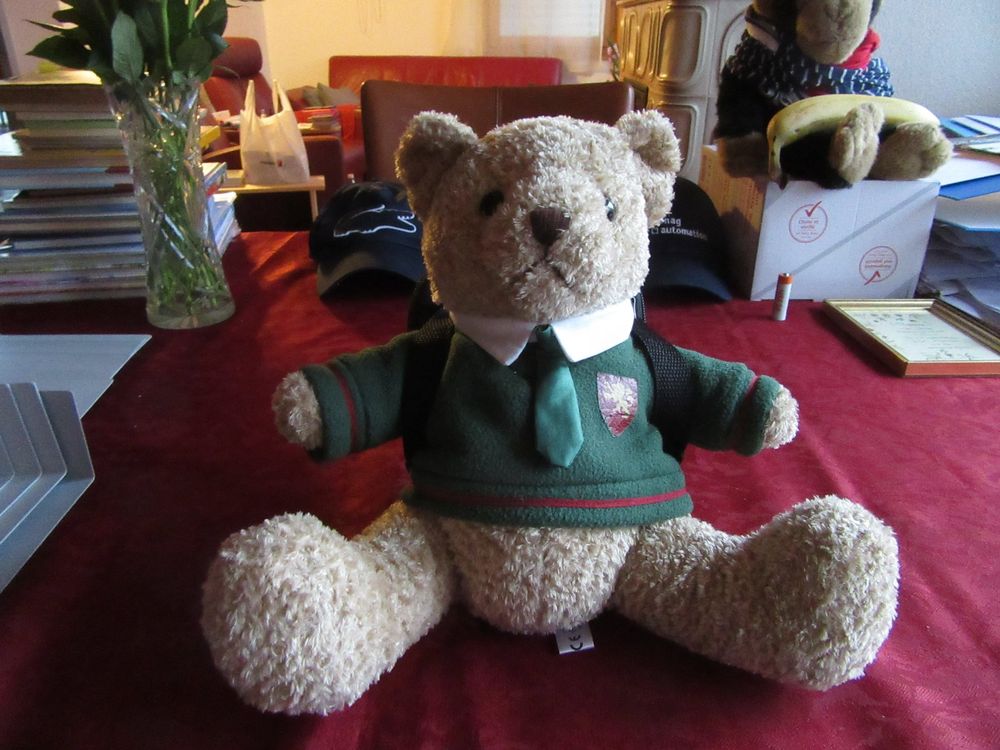 Teddy mit Rucksack (Neu (gemäss Beschreibung)) in Wattwil für CHF 5 ...
