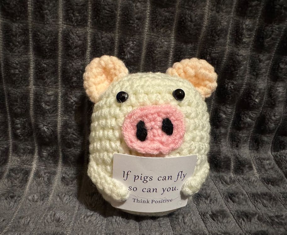 Handmade crochet dolls positive pig handcrafted (Neu und ...
