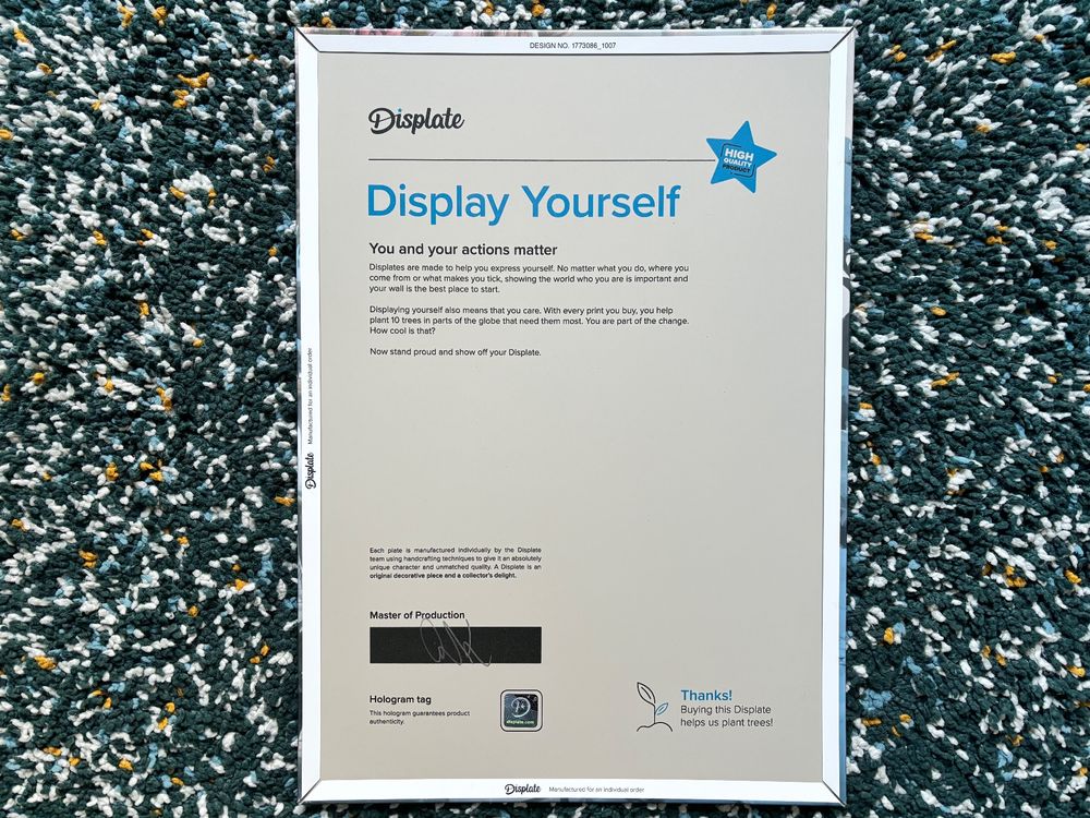 Displate Metal Posters (XL) The Painted World | Kaufen auf Ricardo