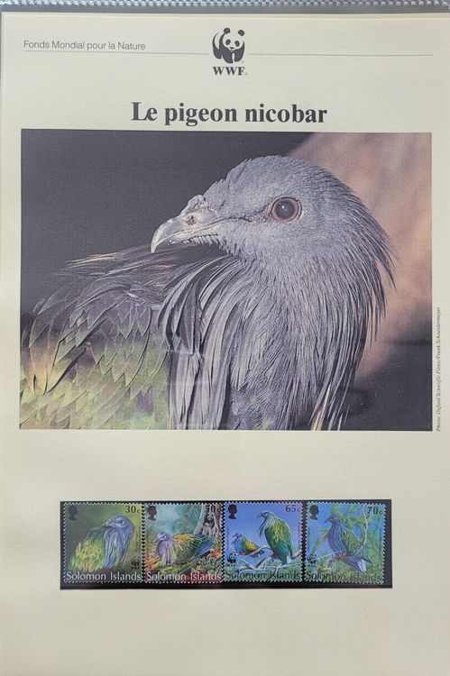Documents WWF Le Pigeon Nicobar Solomon Islands | Kaufen auf Ricardo