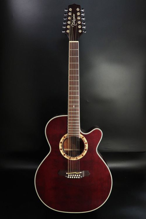Takamine 12-String / PT508-12 / Limited Edition (Gebraucht) in für CHF ...