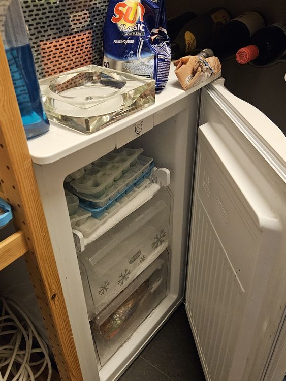 freezer (Gebraucht) in Zürich für CHF 90 – nur Abholung auf Ricardo kaufen