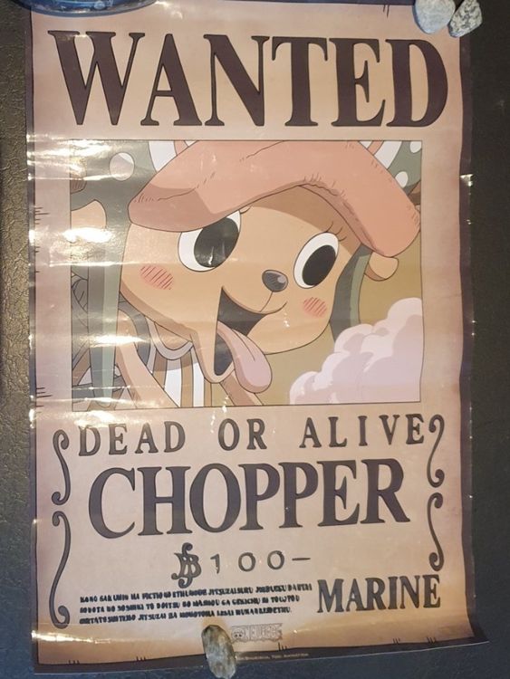 One Piece Chopper Wanted Poster gross (Gebraucht) in Zürich für CHF 6 ...