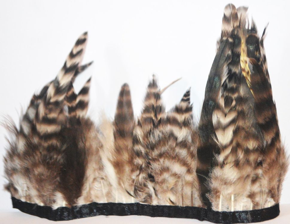 Deko Federn 470 – Band mit Federn – Fasan –Girlande- 1 Meter | Kaufen ...