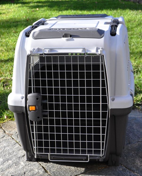 Hundebox / Transportbox Skudo 5, (Gebraucht) in Zürich für CHF 32 – nur ...