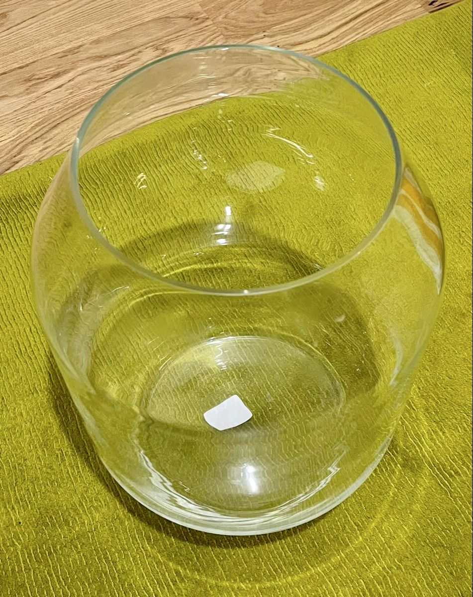 Glasgefäß / Glasvase 20 Liter – ideal für Terrarium & Pflanz (Gebraucht ...