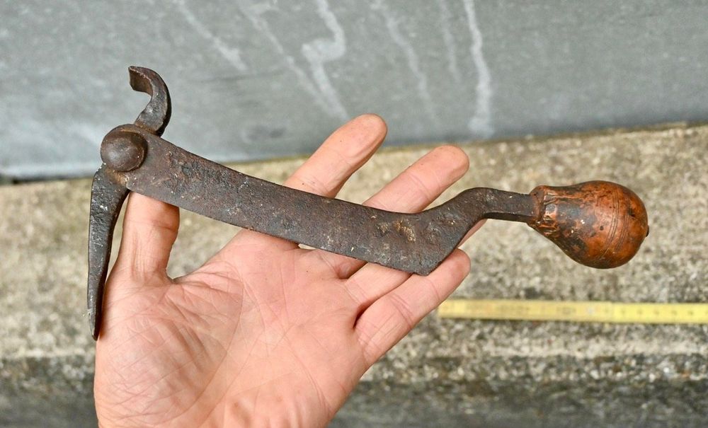 antiker Dorn für Schneidebrett -> Kräuter etc (Gebraucht) in ...