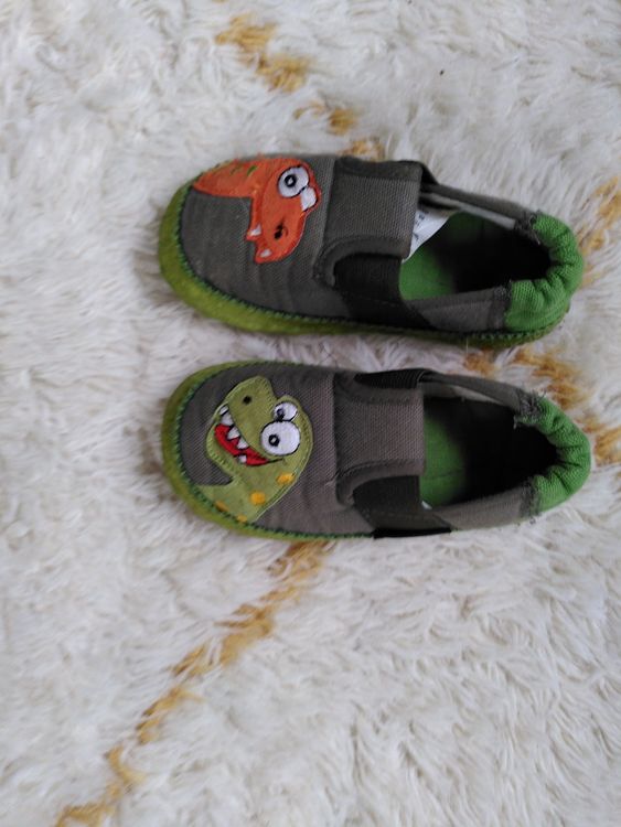 Nanga Finken Dino 24 (Gebraucht) in Zunzgen für CHF 9 – mit Lieferung auf Ricardo kaufen