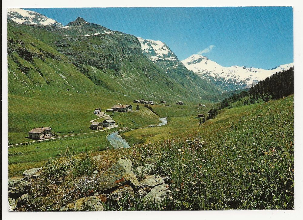 IM FEXTAL, MIT PIZ TREMOGGIA (Gebraucht) in Küttigen für CHF 0.7 – mit Lieferung auf Ricardo kaufen