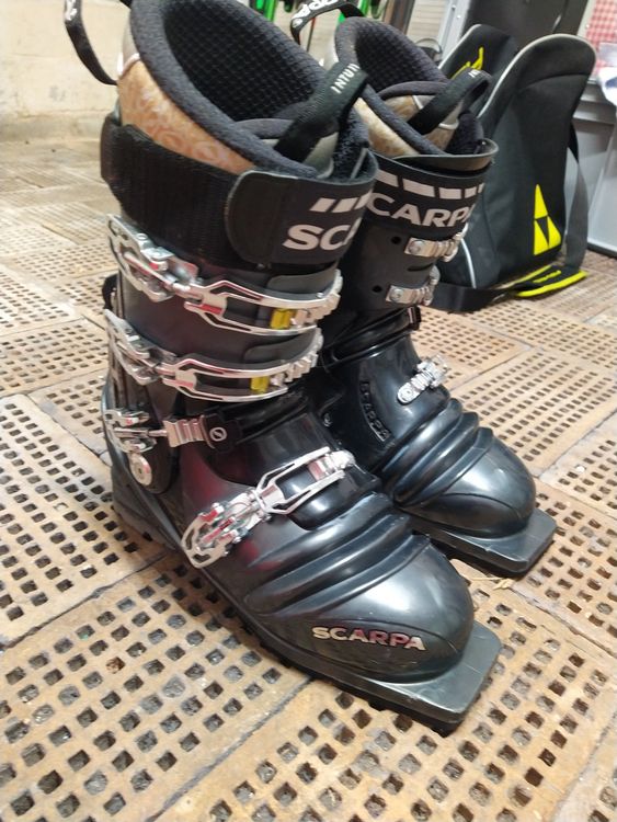 Scarpa T1 Telemark Schuh 44.5 (Gebraucht) in Biel/Bienne für CHF 119 ...
