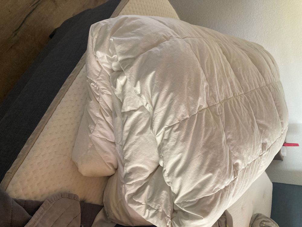 Nomite 4 Saisons Doppeldaunen Duvet 200x 210 (Gebraucht) in Scherz für ...