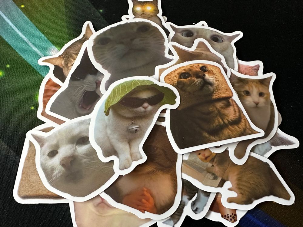 Katzen Meme Stickers I 50 Stk. I Wasserdicht | Kaufen auf Ricardo