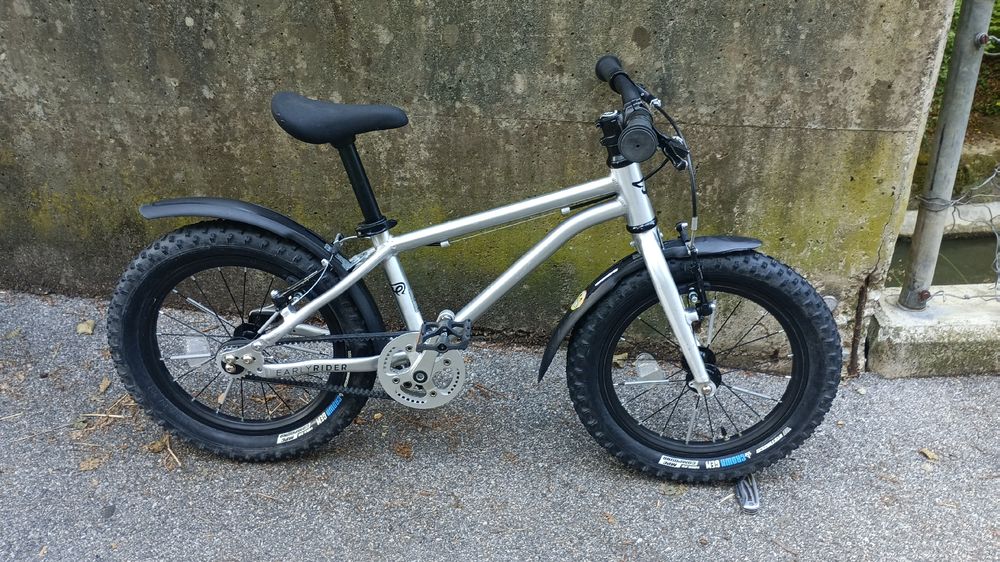 Vélo Early Rider 16" (Gebraucht) in Chavannes-près-Renens für CHF 240 ...