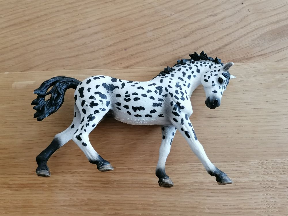 Schleich - Pferd Knabstrupper 13769 (Gebraucht) in Basel für CHF 7.9 – mit Lieferung auf Ricardo ...