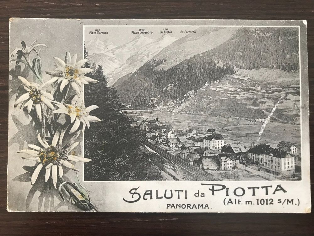 SALUTI DA PIOTTA Panorama, Edelweiss, Jugendstil, 1917 | Kaufen auf Ricardo