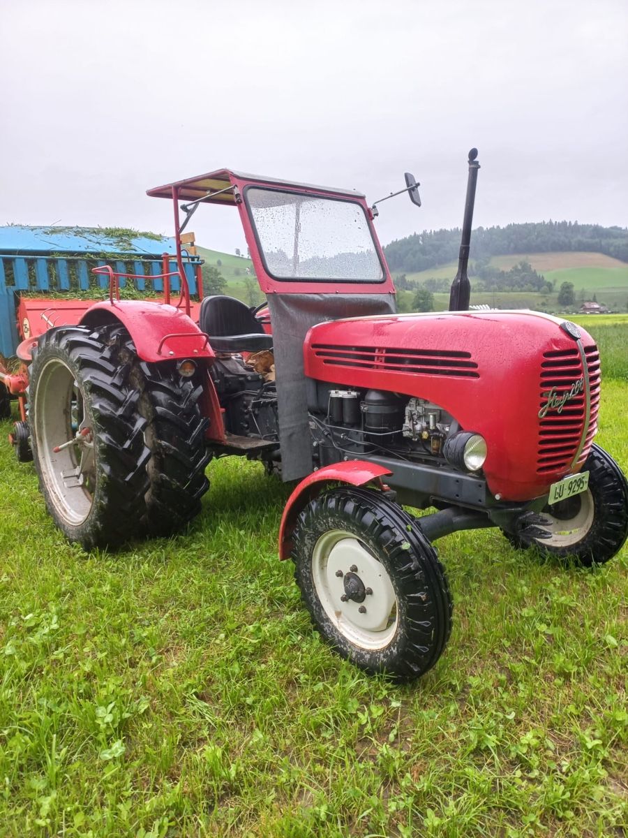 Steyr 288 (Gebraucht) in Willisau für CHF 8200 – nur Abholung auf Ricardo kaufen