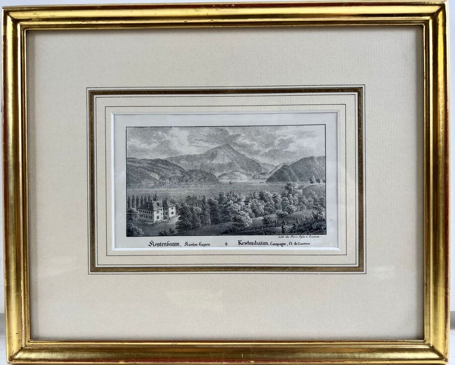 Alte Kastenbaum Lithographie Echtgoldrahmen (Gebraucht) in Neuhausen am Rheinfall für CHF 20 ...