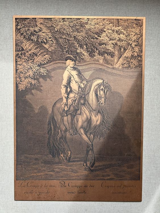 Schöner Kupferstich (Gebraucht) in Lufingen für CHF 30 – mit Lieferung auf Ricardo kaufen