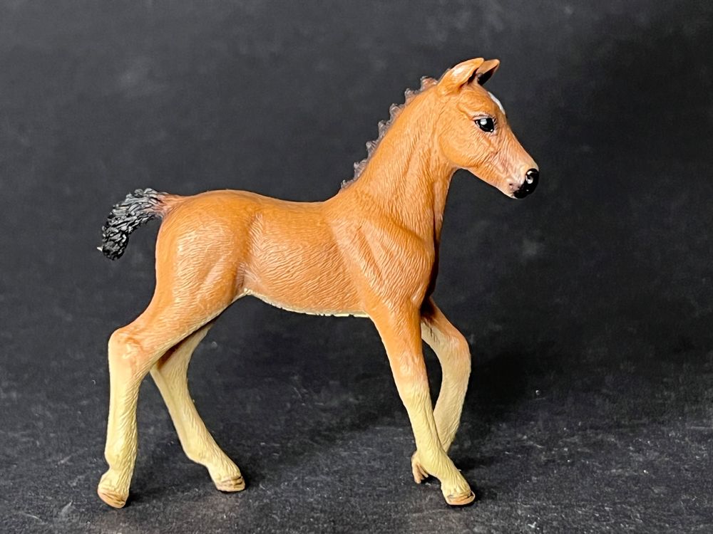 Schleich Oldenburger Fohlen Pferd 13947 (Neu (gemäss Beschreibung)) in Ennetbaden für CHF 4 ...
