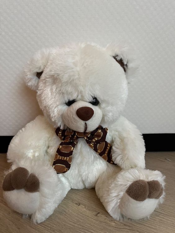 Plüschiger herziger Teddybär (Neu (gemäss Beschreibung)) in Seon für CHF 29 – mit Lieferung auf ...