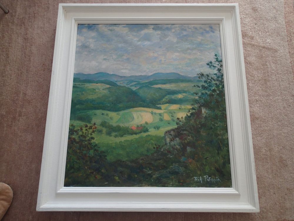 Fritz Pümpin Geb. 1901 Gelterkinden (NUR ABHOLUNG) (Gebraucht) in Allschwil für CHF 1390 – nur ...