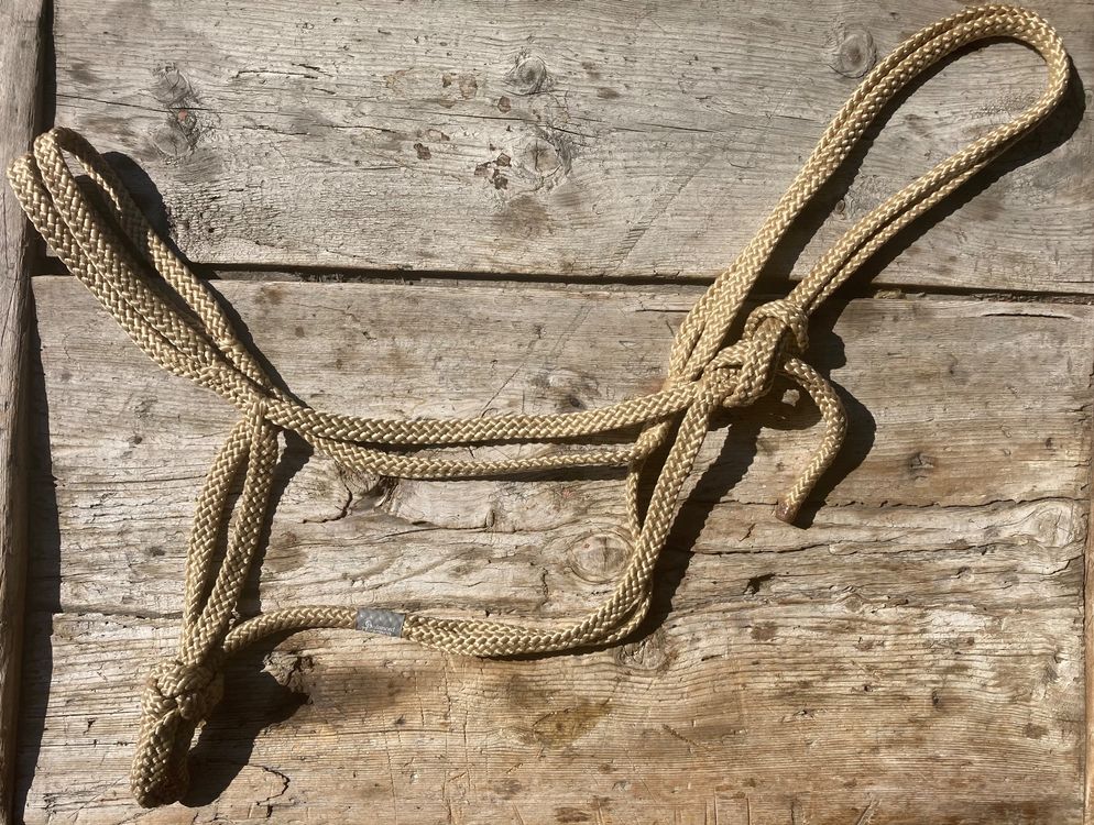 Knotenloses Halfer Neu XL (KB) (Neu (gemäss Beschreibung)) in Buchs SG ...