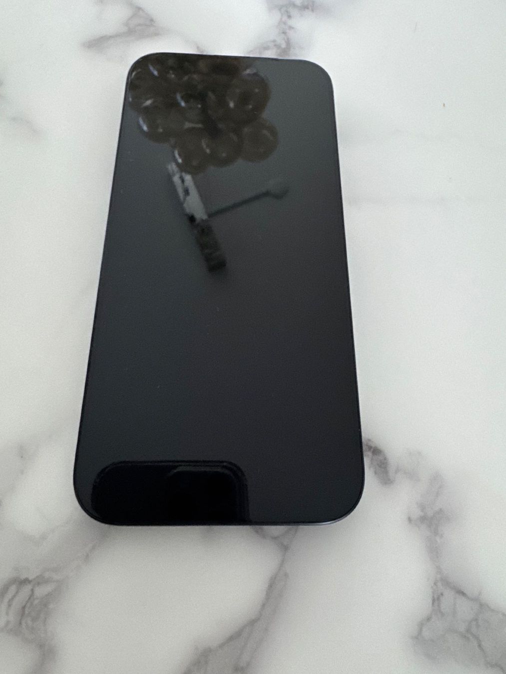 Iphone 16 Pro Max 256 GB Black - Garantie bis September 2026 (Neu ...