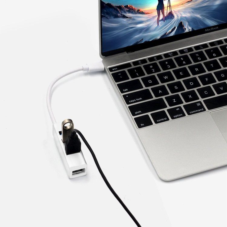 Tragbarer USB-C / Typ C-Stecker auf 4 USB-Anschlüsse Buchse (Neu und ...