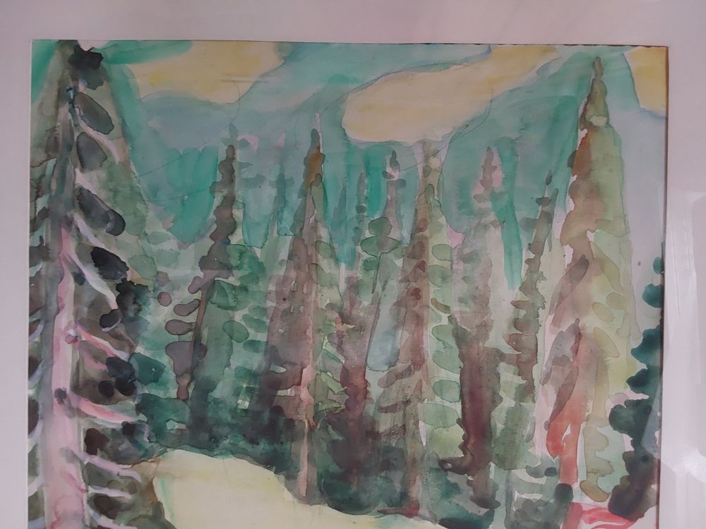 Fritz Pauli.Original-Aquarelle-Signiert. Mit Rahmen 51x60cm. | Kaufen auf Ricardo