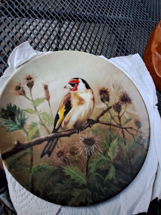 Sammel Teller Künstlerteller Karl-Hans Boese Distelfink (Gebraucht) in ...