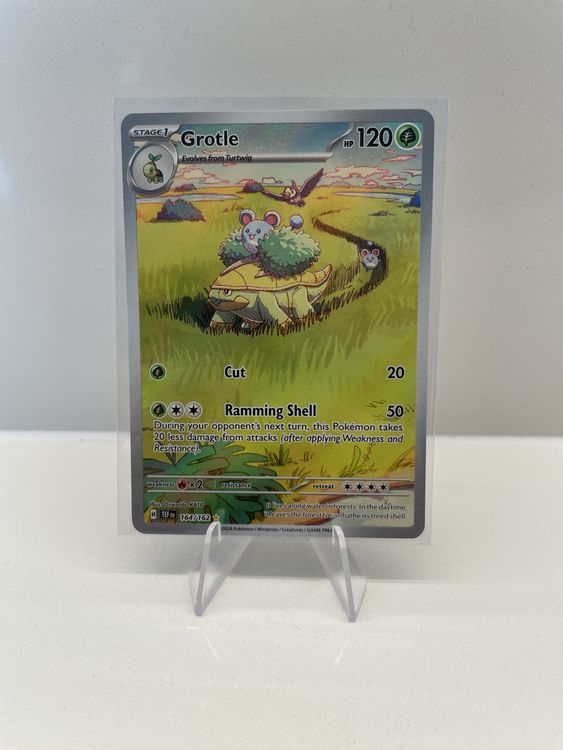 Grotle Illustration Rare Temporal Forces 2024 (Gebraucht) in Arlesheim ...