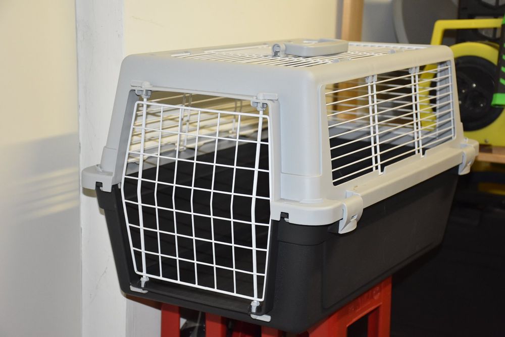 Transportbox für Katze (Gebraucht) in Urtenen-Schönbühl für CHF 25 ...