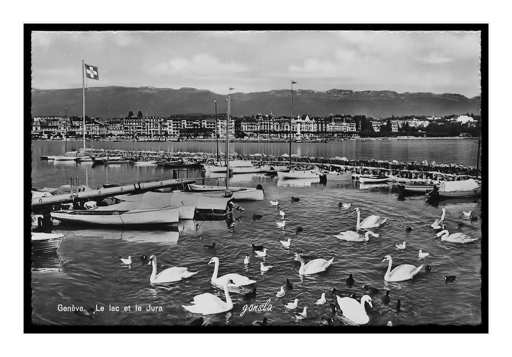 GENÈVE - 1950 "Le Port / La Rade" Le Lac et le Jura (D'occasion) à Onex ...