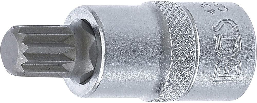 Stecknuss 1/2'' XZN M12 (Neu und originalverpackt) in Ursy für CHF 6 ...