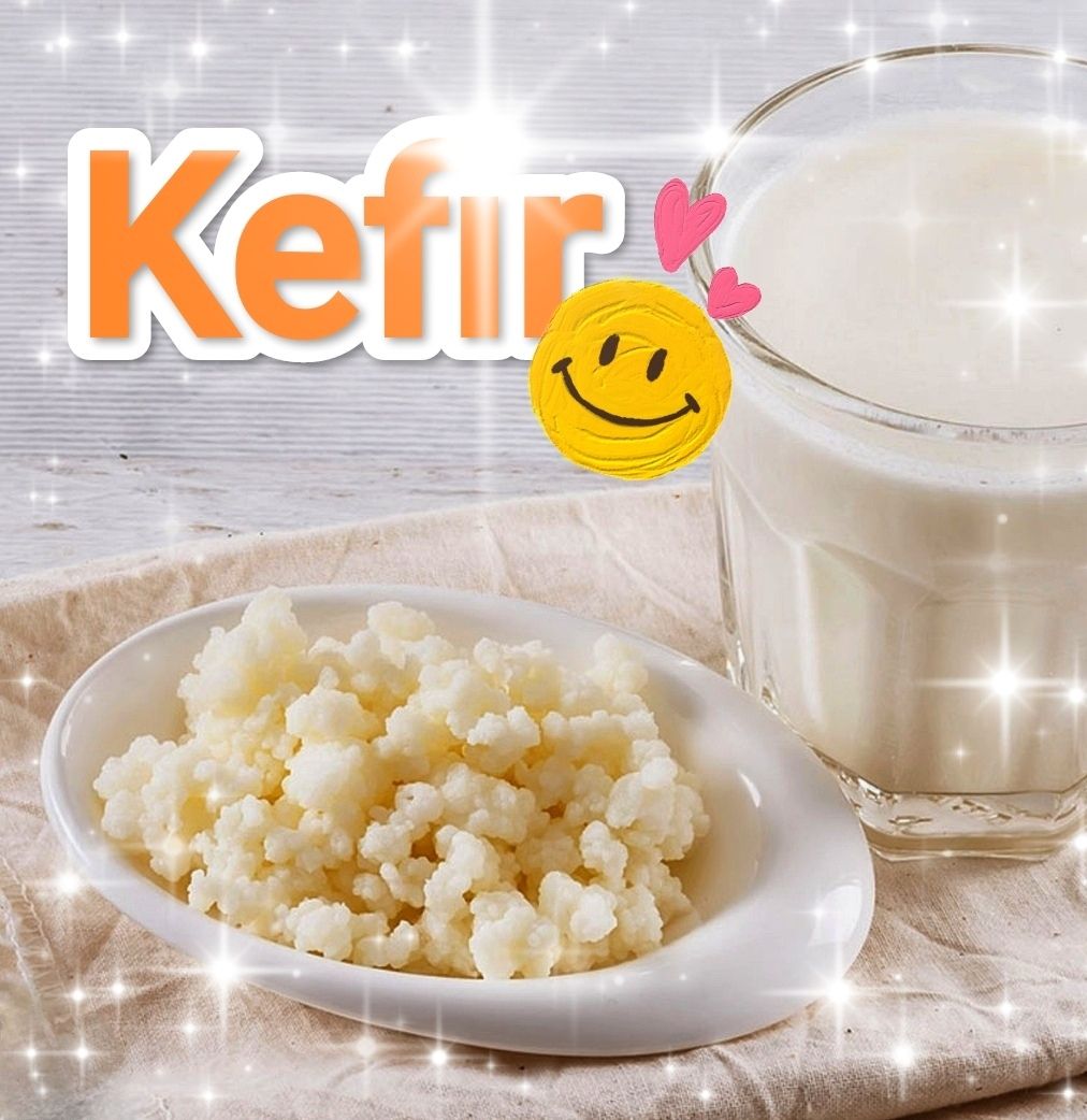 BIO-Kefir 😋 Kefirknollen für Milchkefir selbst herstellen (Neu (gemäss ...