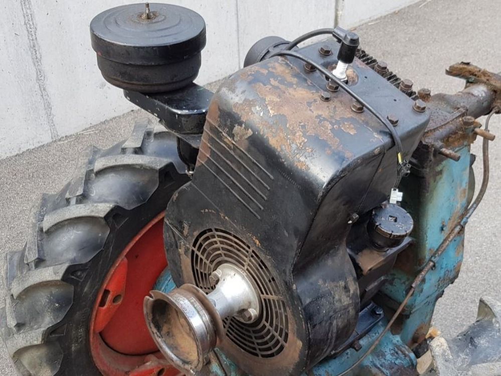 Rapid Super Basco Briggs Stratton Motor (Gebraucht) in Wohlenschwil für ...