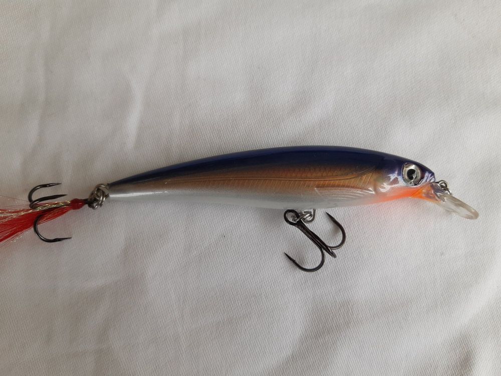 Rapala X-Rap Minnow Wobbler 10CM (Gebraucht) in Bilten für CHF 10 – mit ...